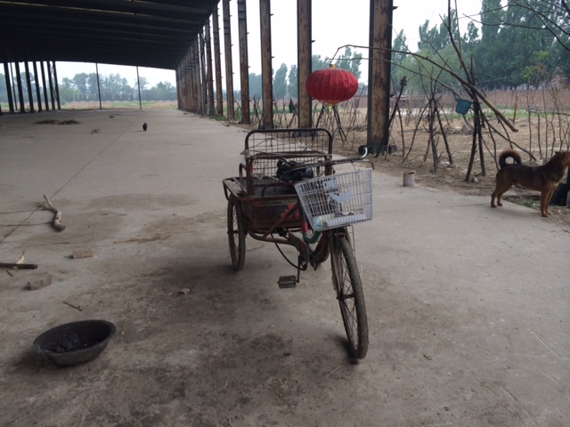 China Calling: this Three Wheeled Bike is the most popular truck in ...