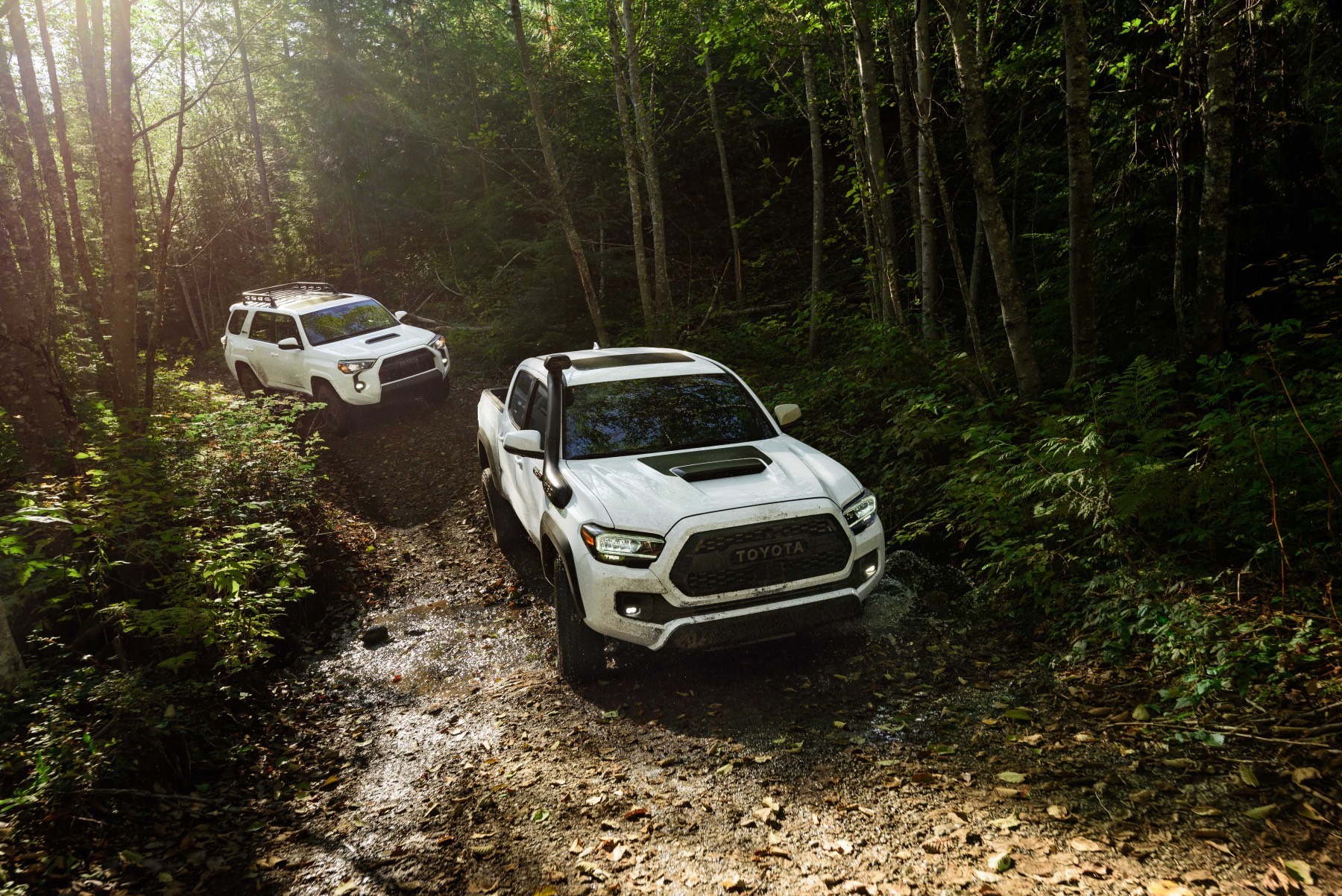 2020 Toyota Sequoia TRD Pro Adds 7-Seat Family Hauler To The Off-Road ...