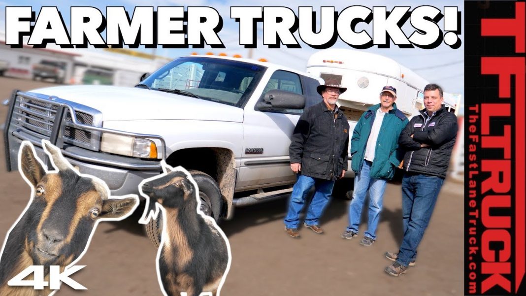 What Trucks Do Real Farmers Drive? We Haul and Sell Mr Truck's Goats ...
